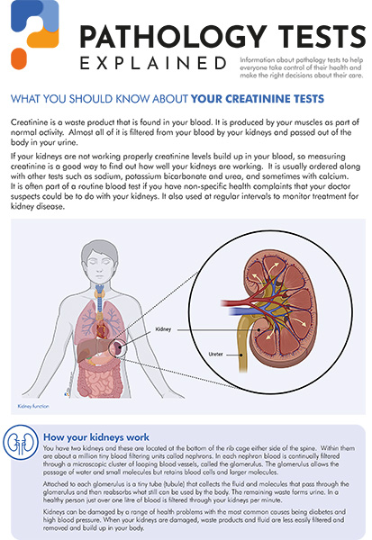 Kidney function tests | Pathology Tests Explained