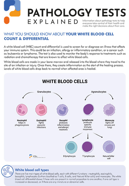 Full blood count | Pathology Tests Explained