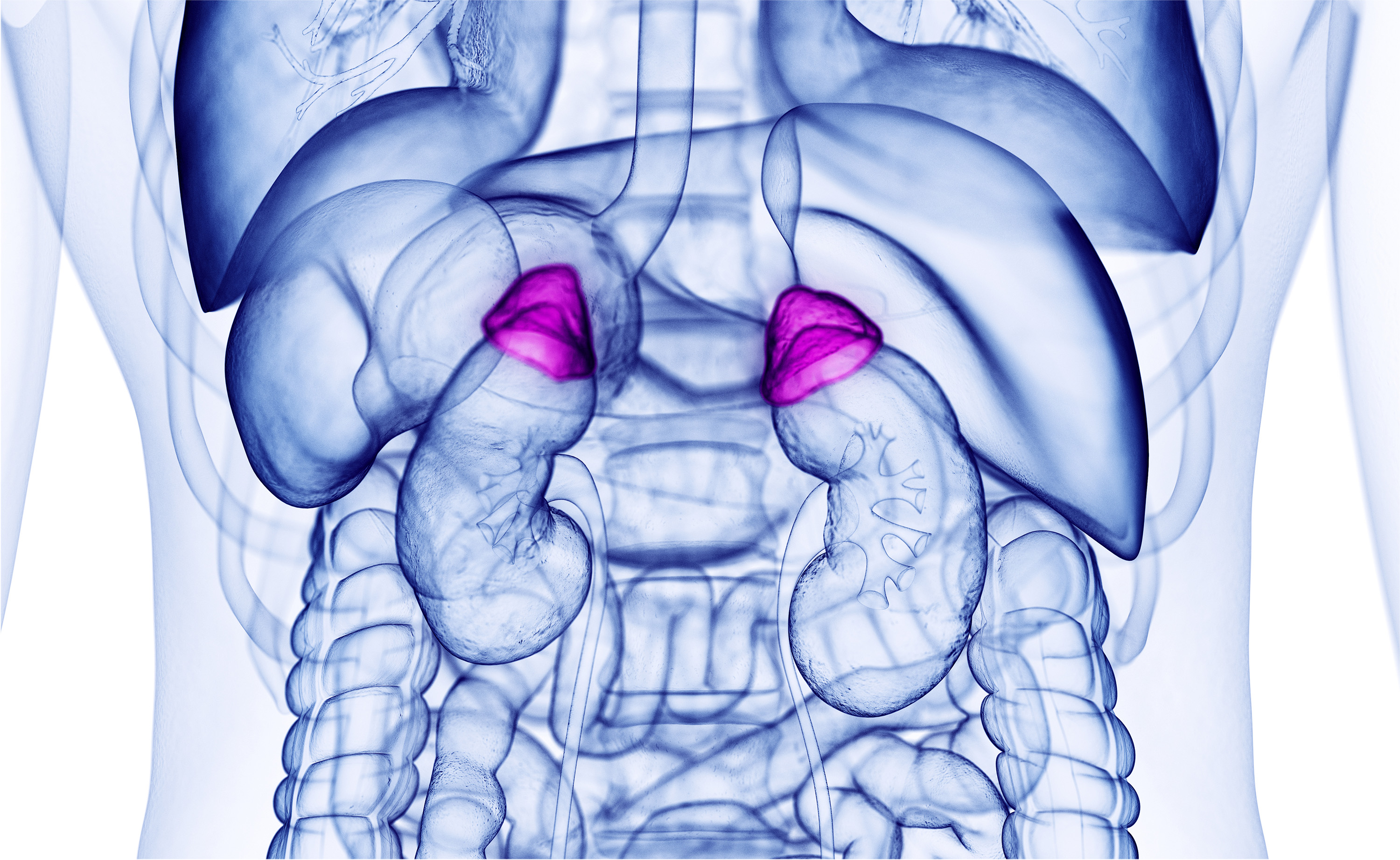 Dehydroepiandrosterone sulfate (DHEAS) | Pathology Tests Explained